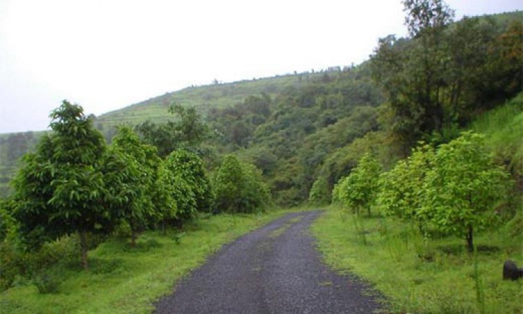 Sai Farms and Holiday Resort Pune | Sai Farms and Holiday Resort | Pune ...