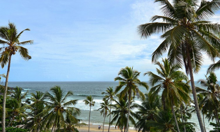 Turtle on the Beach Kovalam | Turtle on the Beach | Kovalam Hotels ...