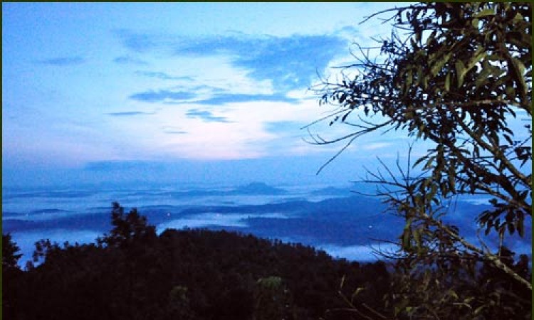 Cybele Hill Resort Wayanad | Cybele Hill Resort | Wayanad Hotels ...