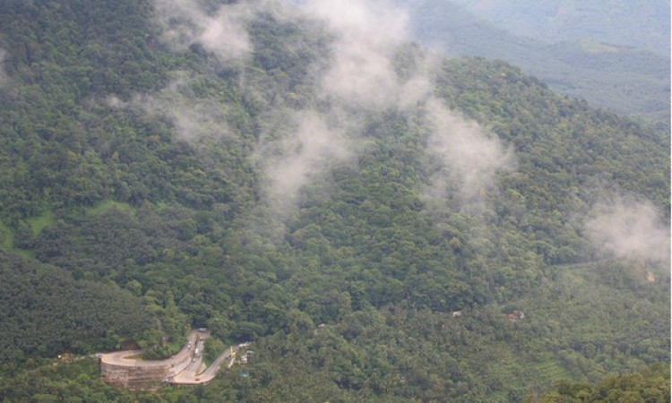 Wayanad Nature Resorts Wayanad | Wayanad Nature Resorts | Wayanad ...