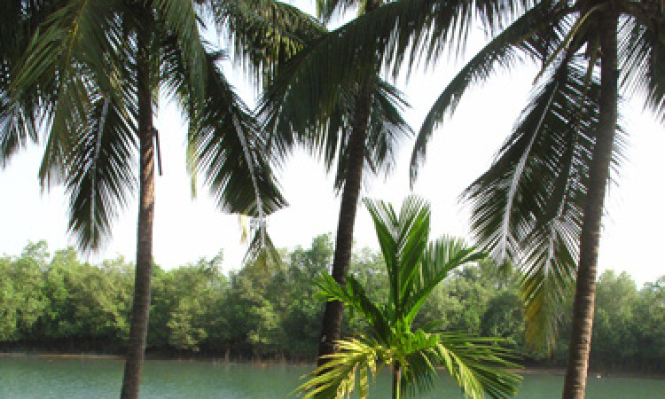 Casa Colvale Colvale | Casa Colvale | Colvale Hotels & Resorts ...