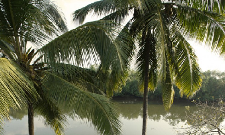 Casa Colvale Colvale | Casa Colvale | Colvale Hotels & Resorts ...