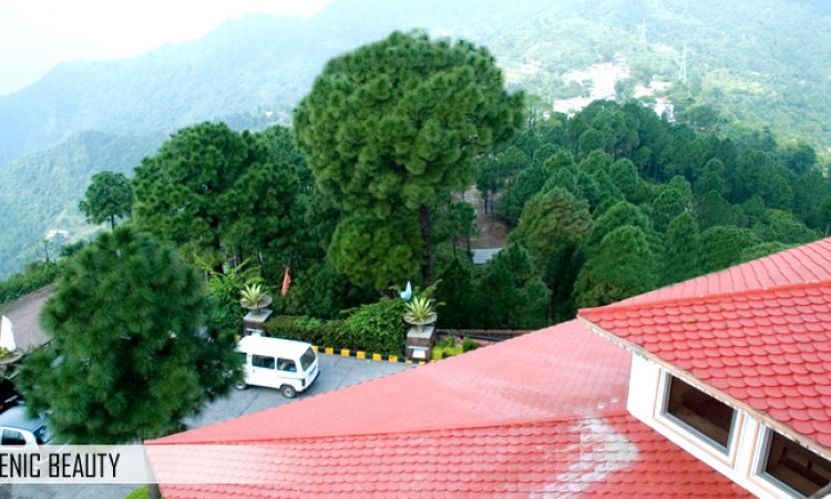 Grand View Resort Nahan | Grand View Resort | Nahan Hotels & Resorts ...