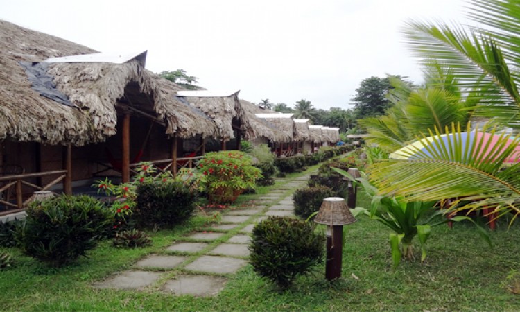 Blue Bird Resort Havelock Island | Blue Bird Resort | Havelock Island ...