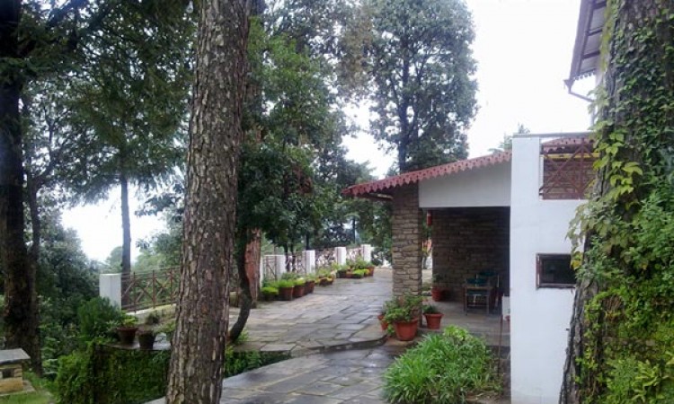 Kasar Jungle Resort Almora | Kasar Jungle Resort | Almora Hotels ...