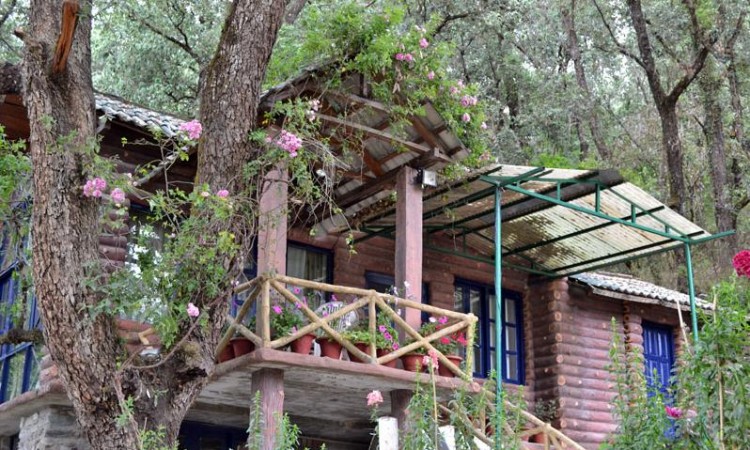 The Lake Resort Naukuchiatal | The Lake Resort | Naukuchiatal Hotels ...