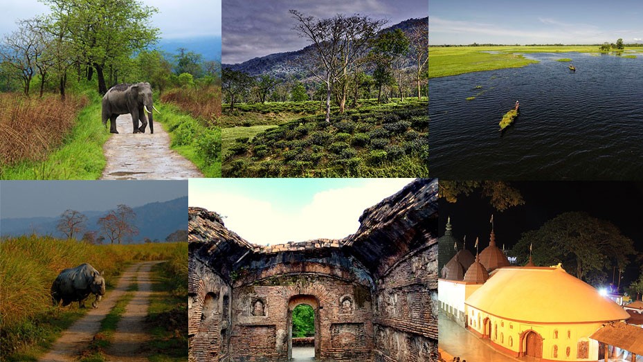 Assam Travel Guide : Tourist Places to visit, Attractions. Best Time to ...